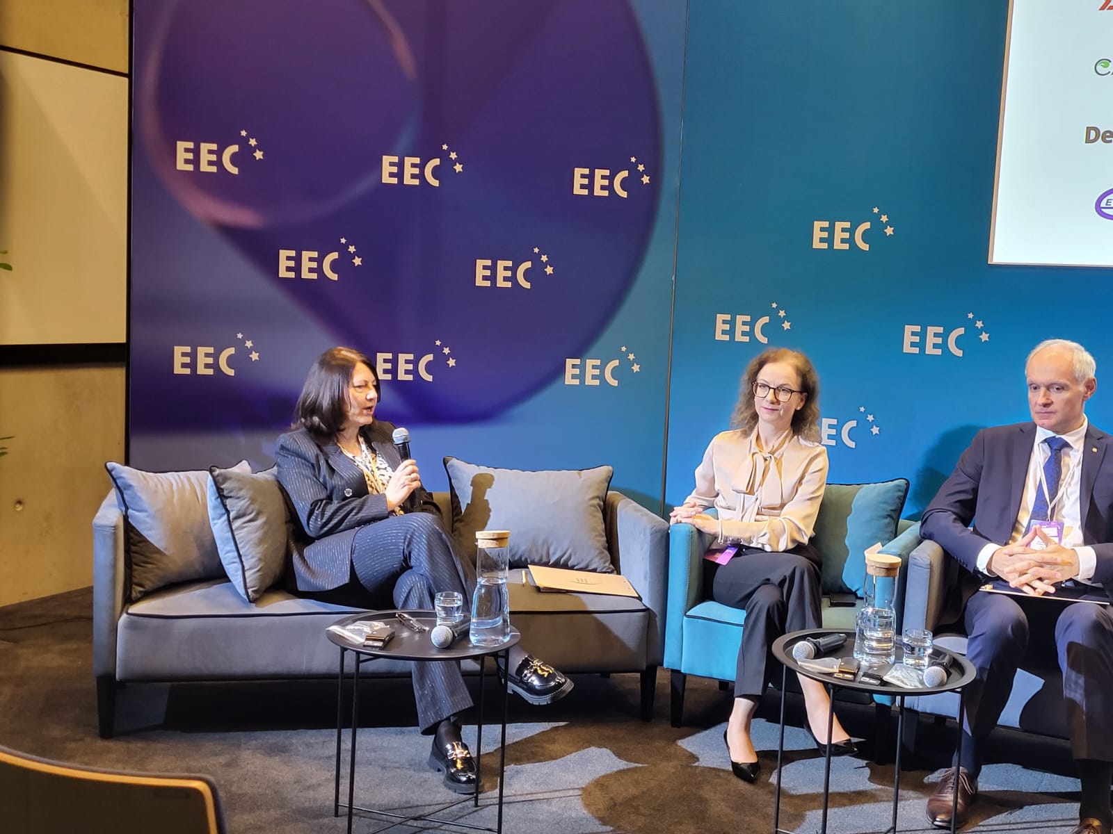 Prof. Bogusława Drelich-Skulska uczestniczką panelu Europejskiego ...